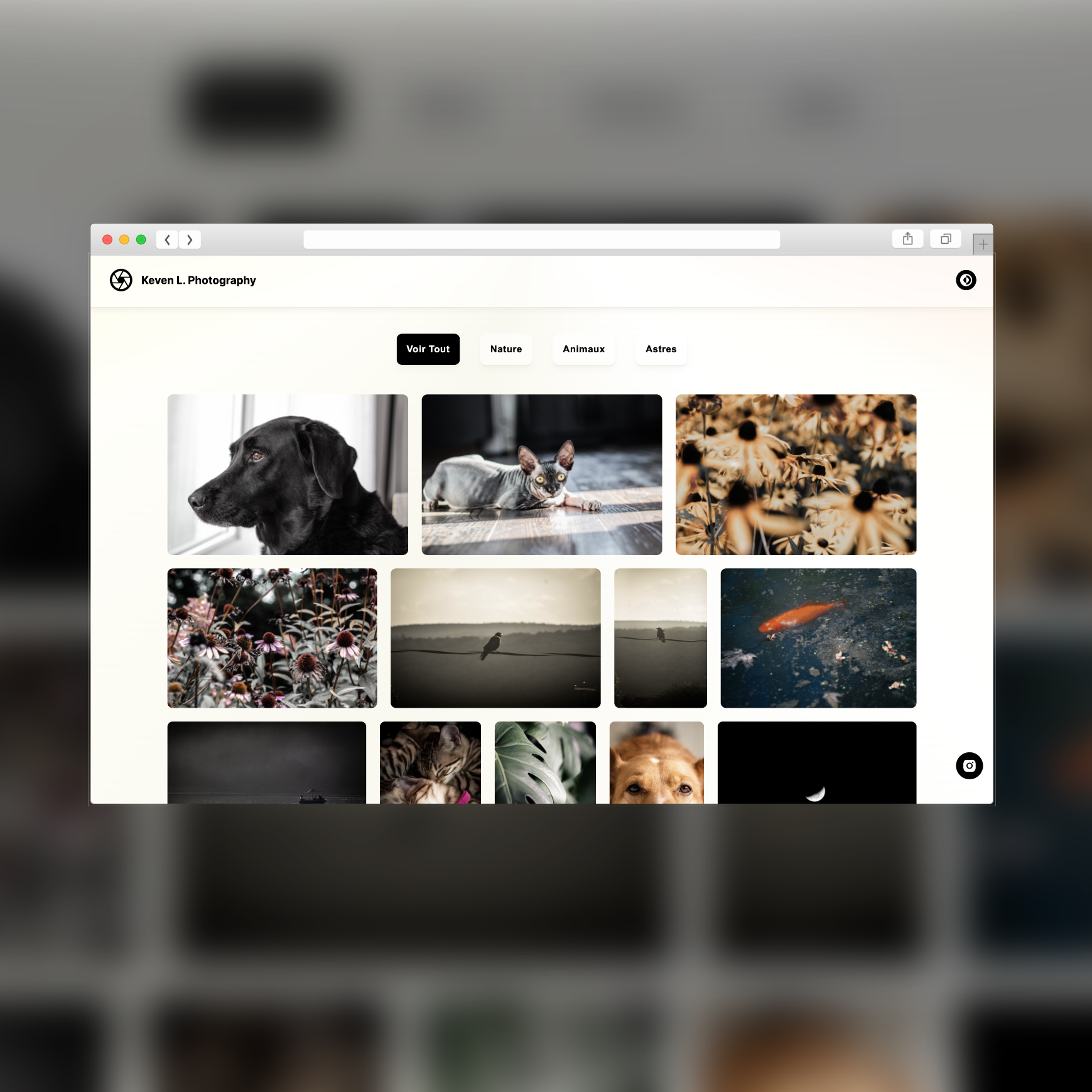 Alexy Piché | Illustration, Design & Development